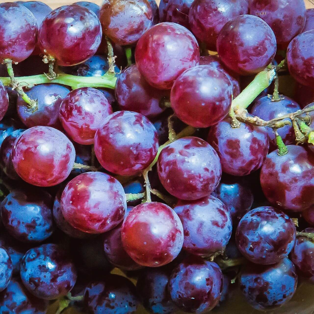 Red Grapes 500g – farm2doorZA